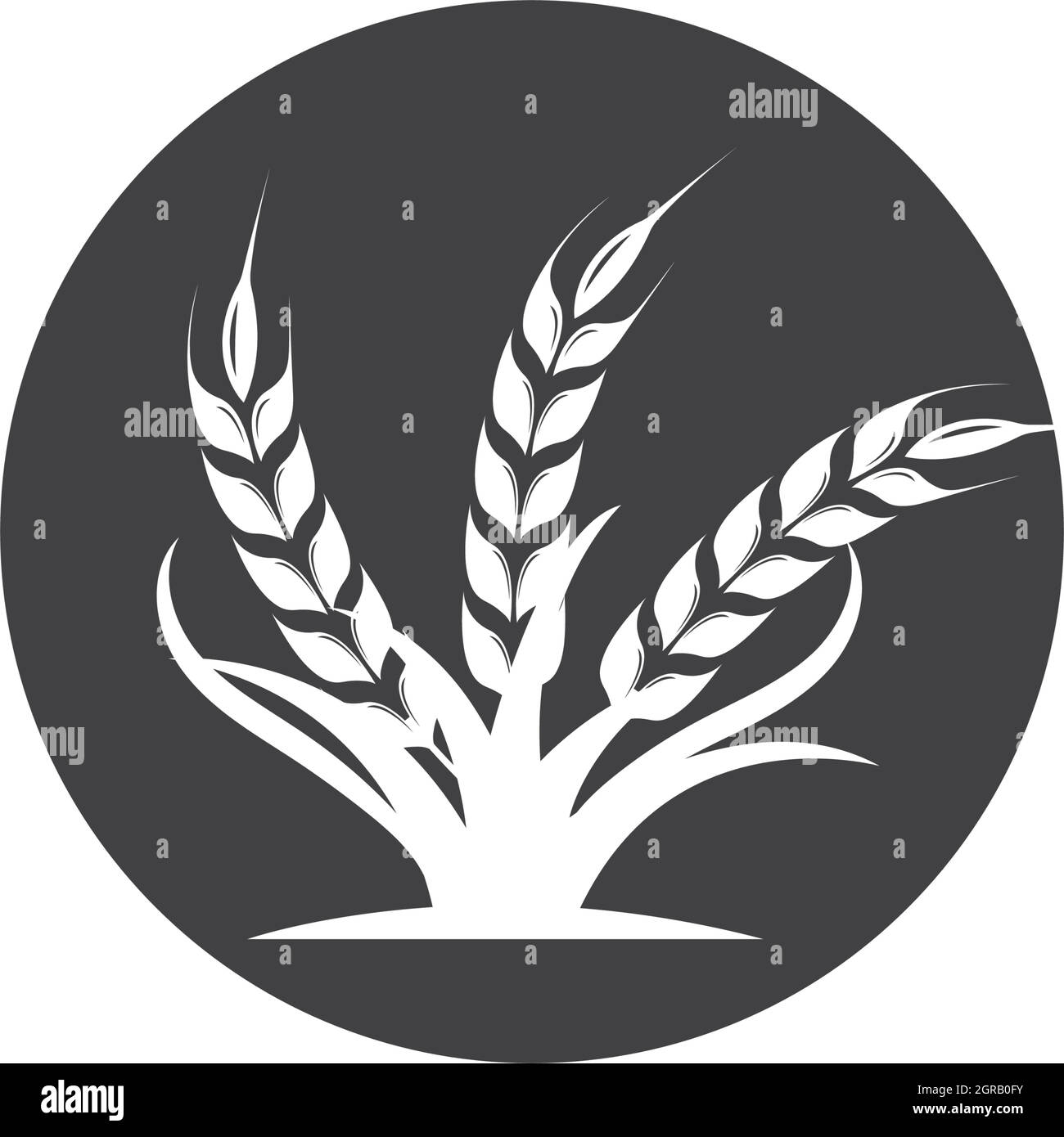Agriculture wheat vector icon illustration design Stock Vector Image ...