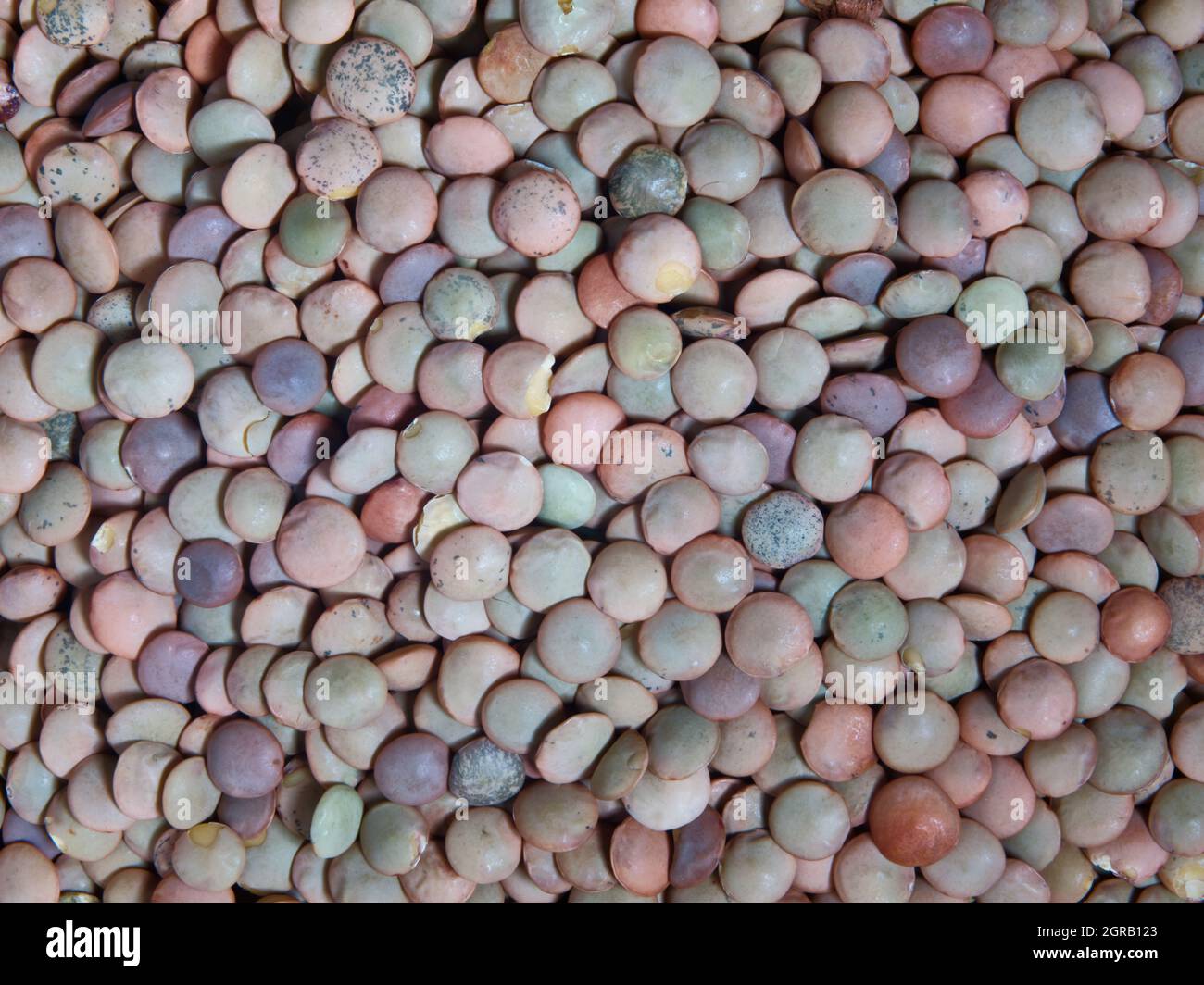 color lentils pile. Dry lentil grains background Stock Photo - Alamy