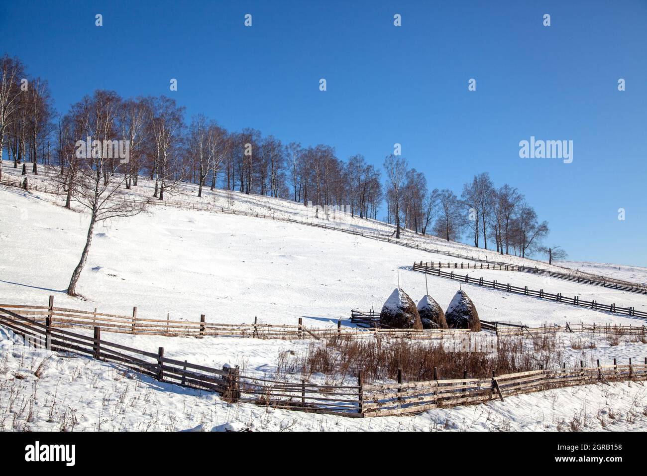 Winter landscape with haystacks on the hillside Stock Photo - Alamy