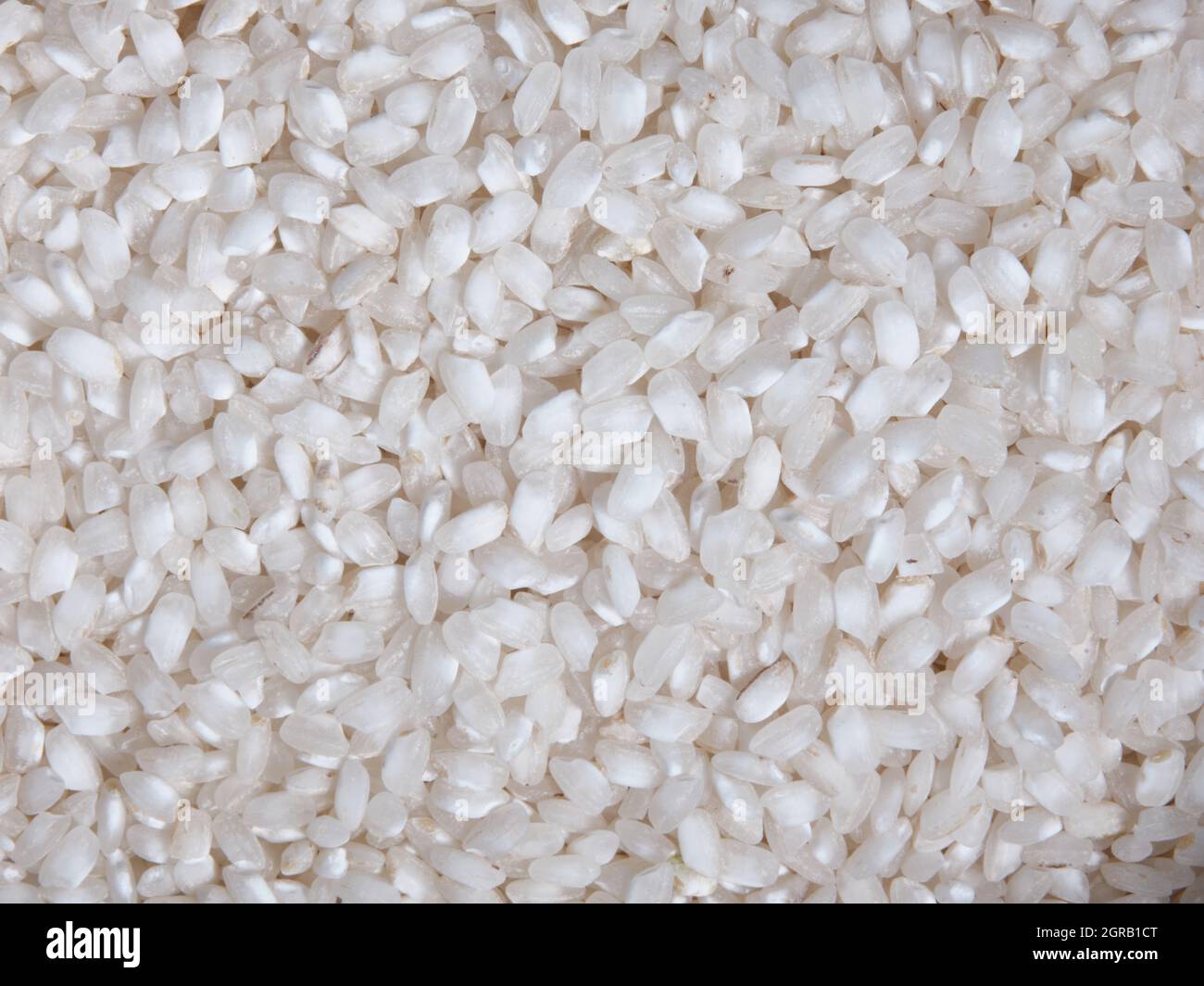 white rice detail texture background, close up shot of the rice ...