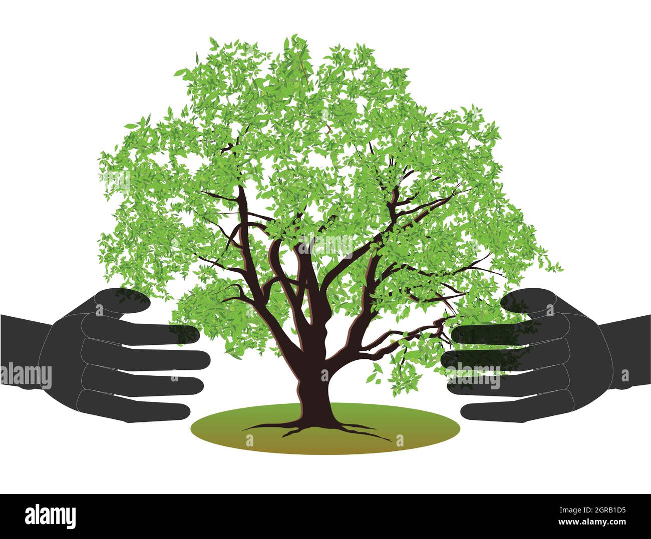 Vector Illustration showing Protection of Trees Stock Vector Image ...