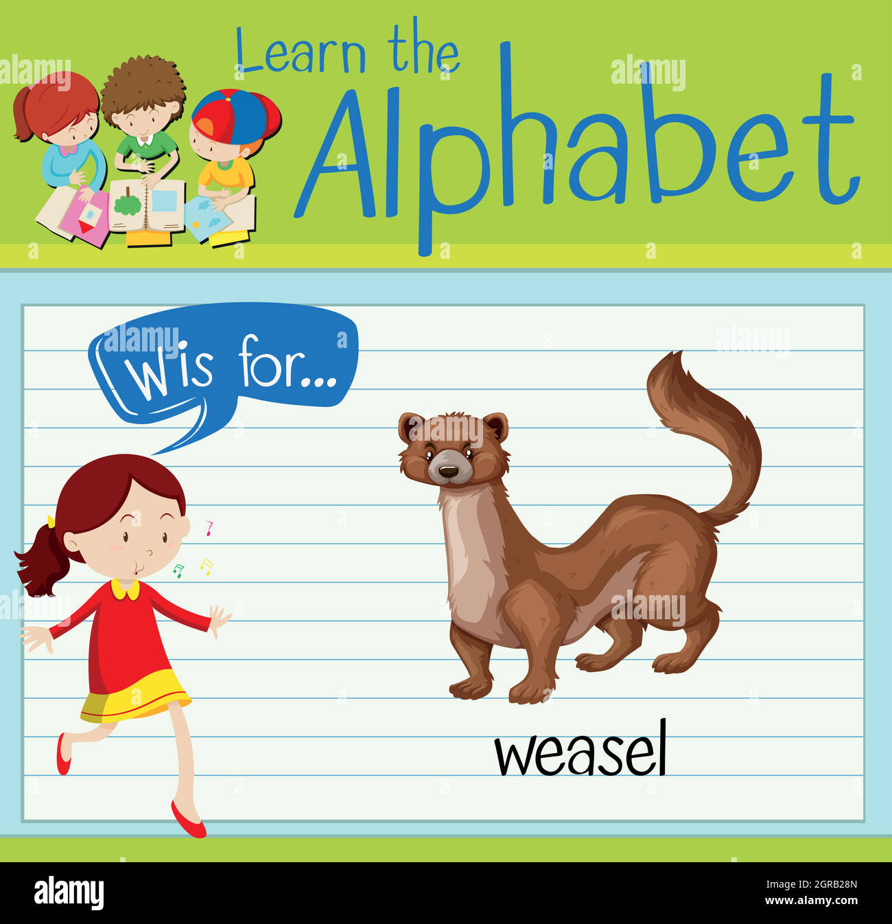 Flashcard alphabet W is for weasel Stock Vector Image & Art - Alamy