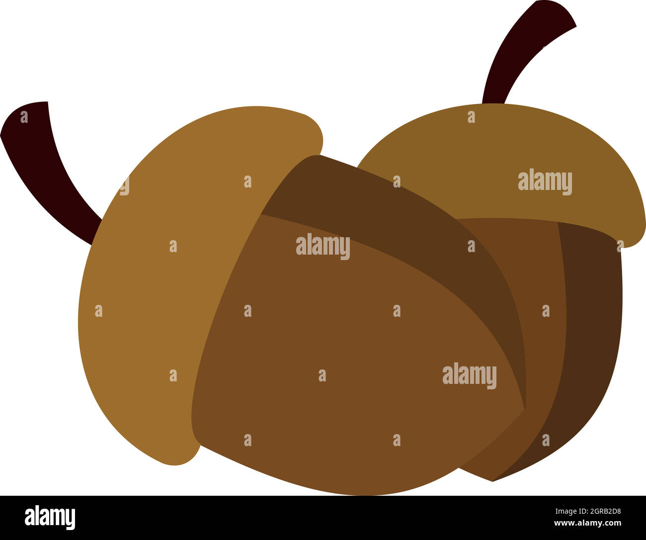 Two acorn icon, flat style Stock Vector Image & Art - Alamy