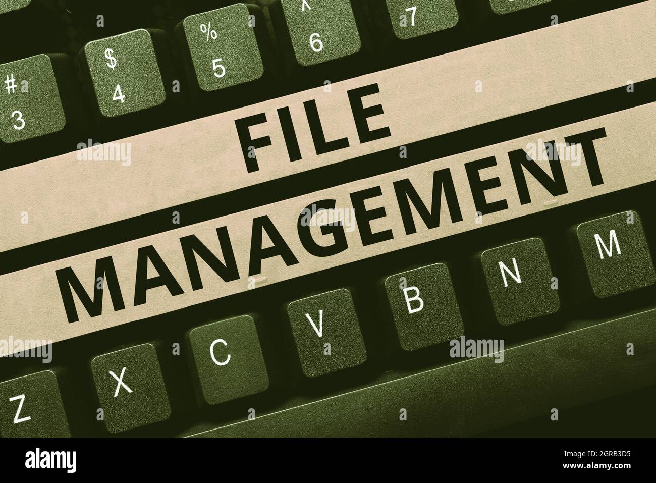 Text showing inspiration File Management. Business overview computer ...