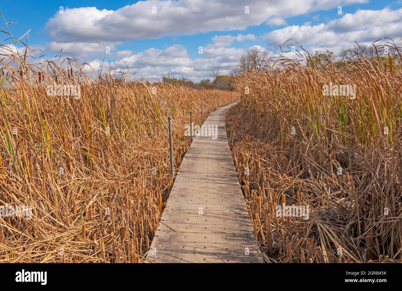 Volo bog natural area hi-res stock photography and images - Alamy