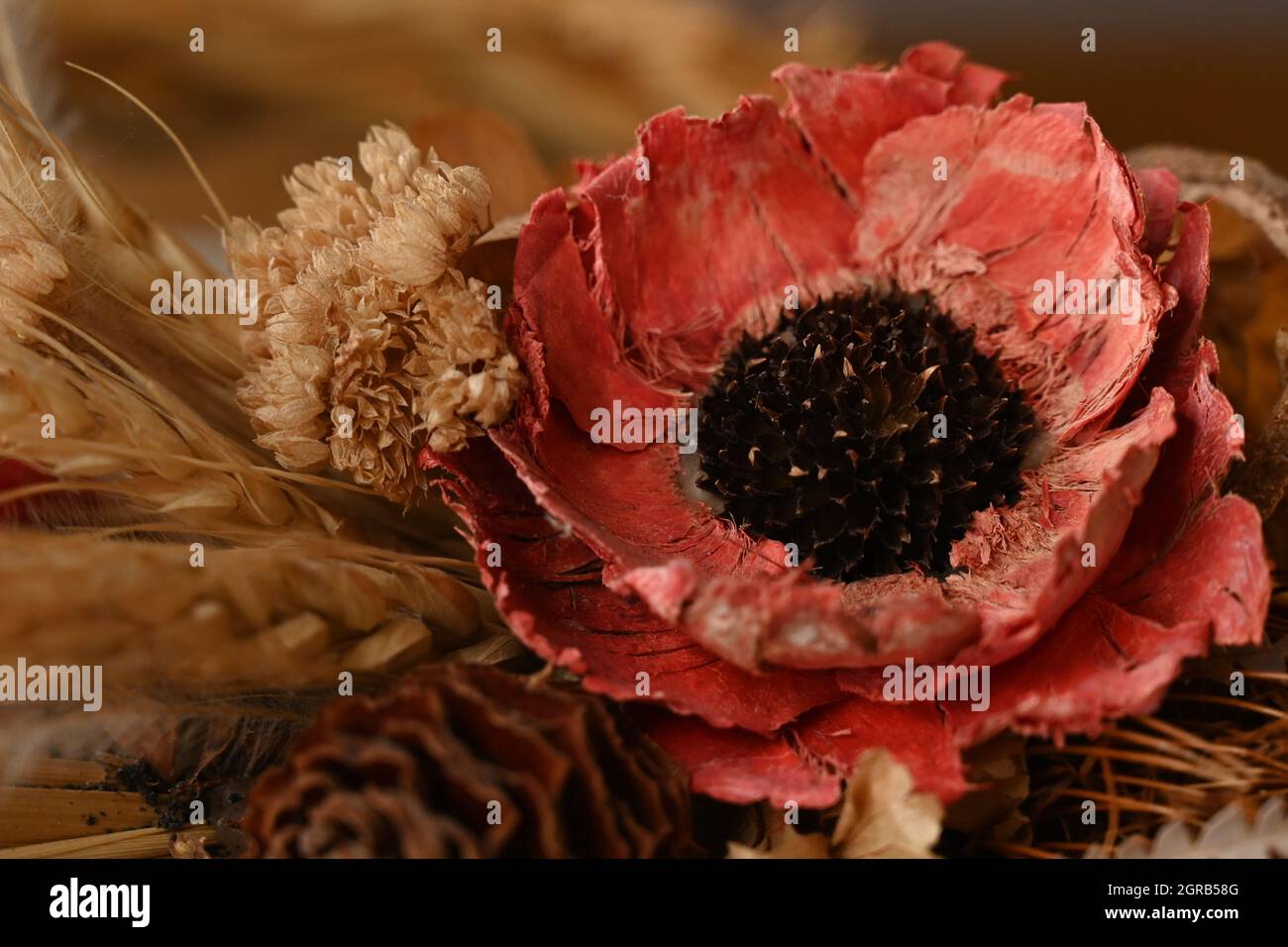 Buli hi-res stock photography and images - Alamy
