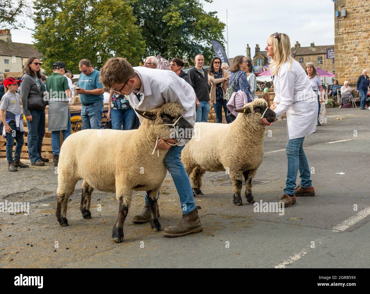 Sheep Fair at Masham Stock Photo - Alamy