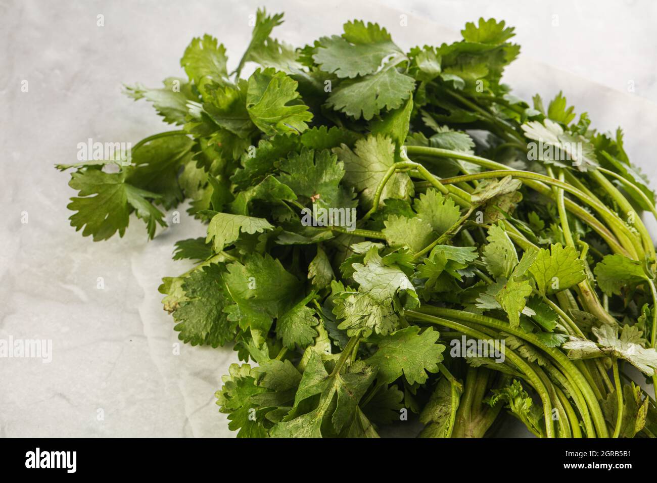 Fresh green Coriander leaves heap isolated Stock Photo - Alamy