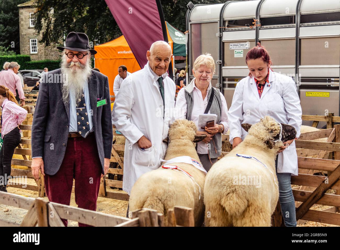 Sheep Fair at Masham Stock Photo - Alamy