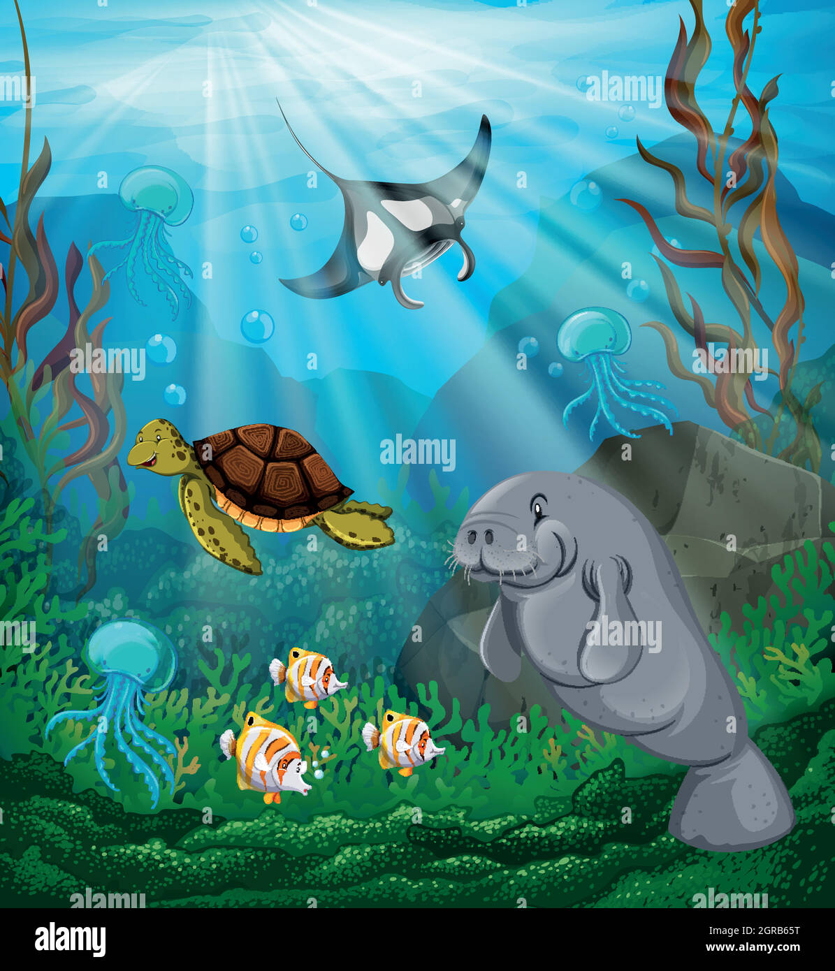 Sea animals swimming under the ocean Stock Vector Image & Art - Alamy