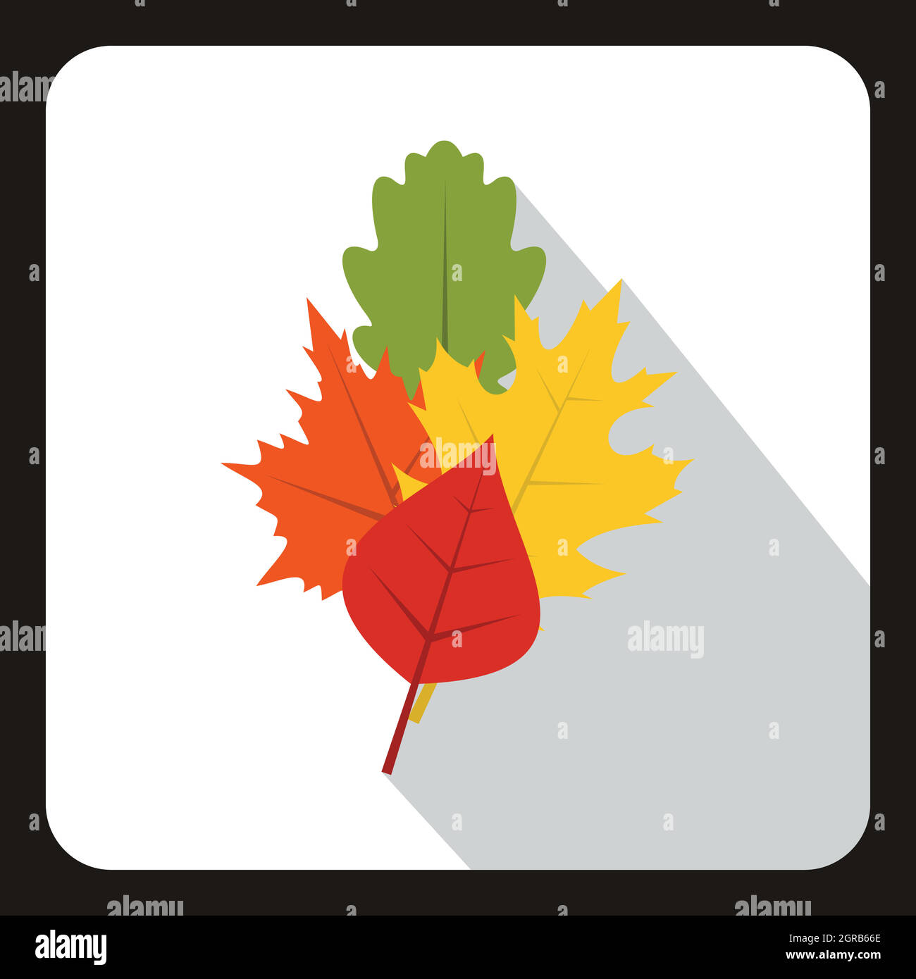 Long leaves Stock Vector Images - Alamy