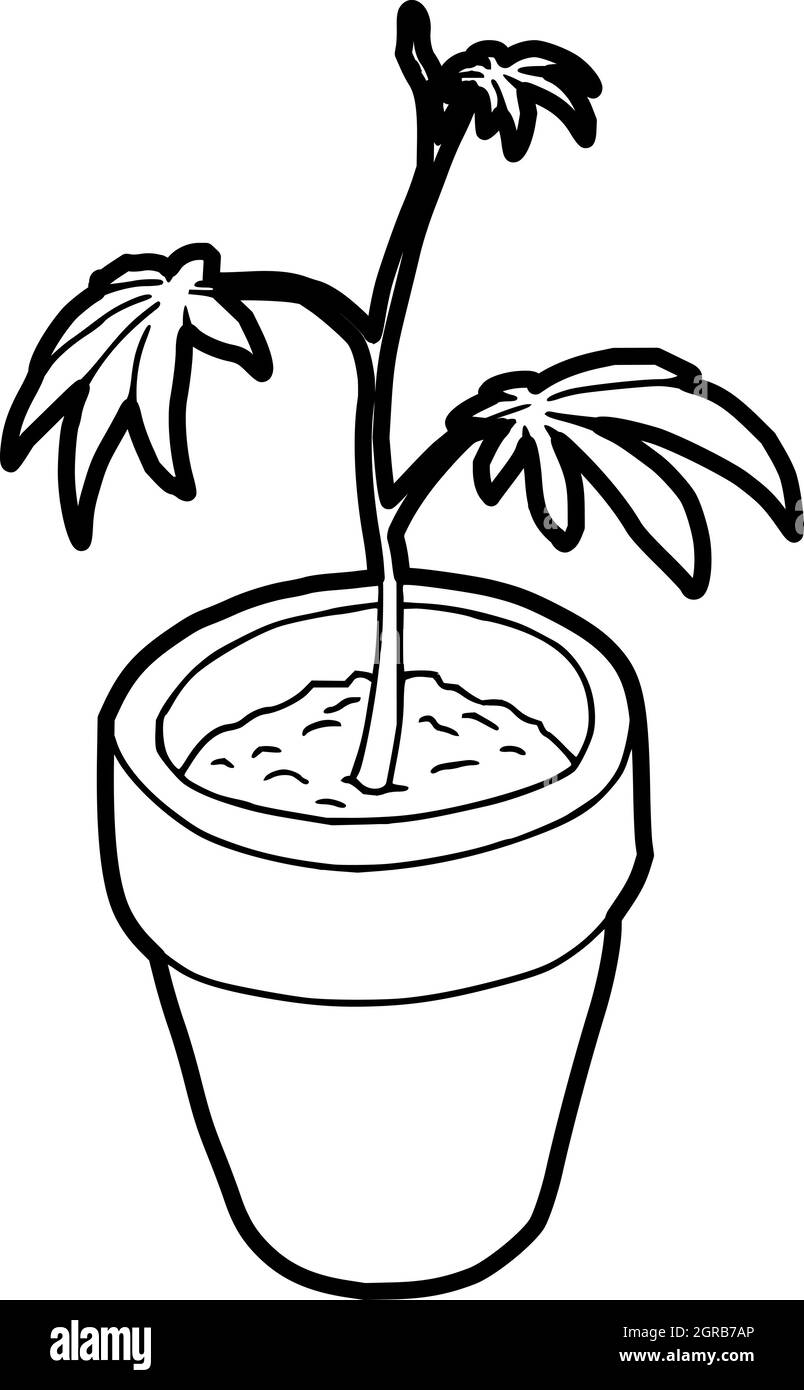 Plant line icon outline Black and White Stock Photos & Images - Alamy