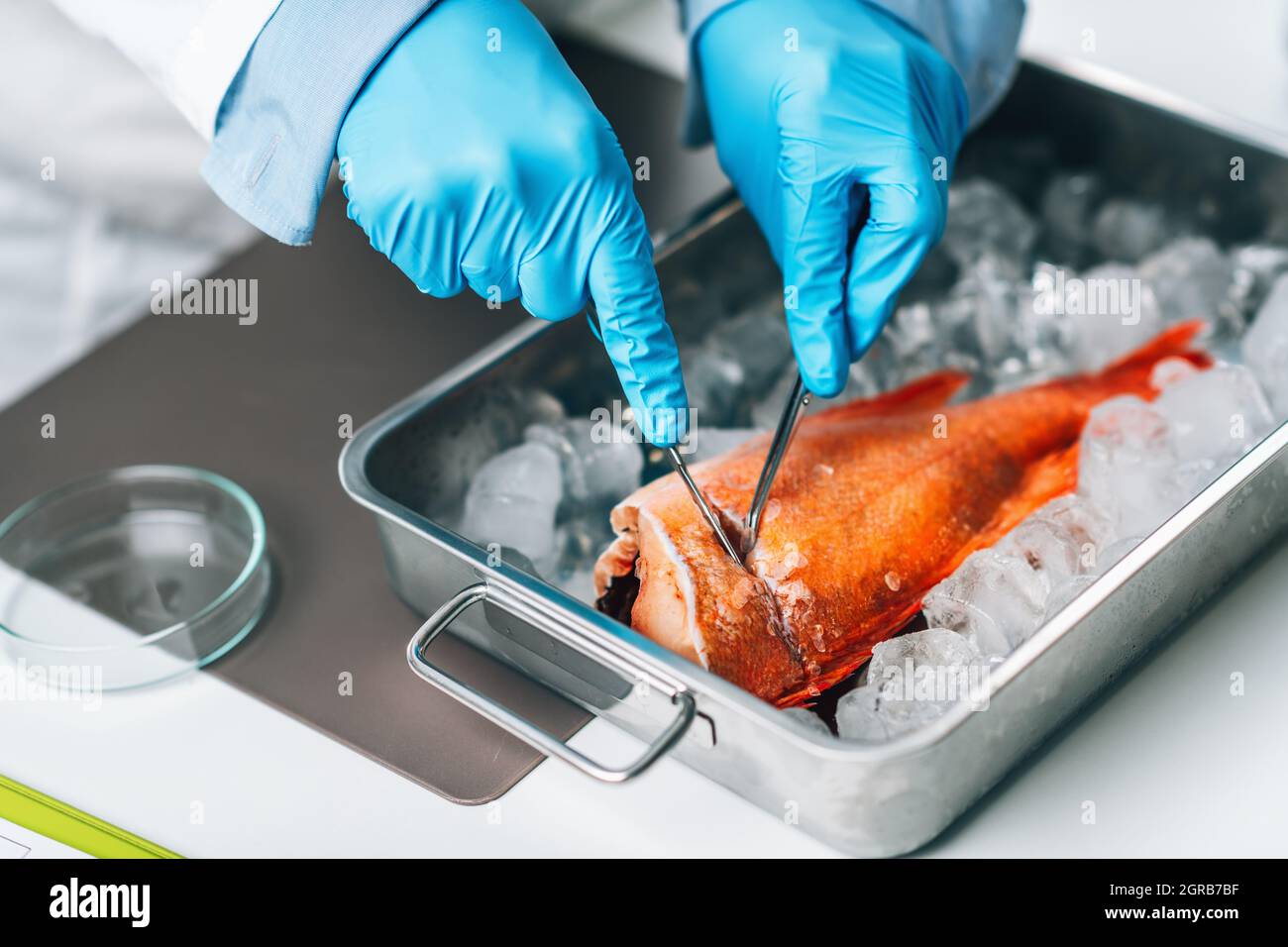 Assessment sea hi-res stock photography and images - Alamy