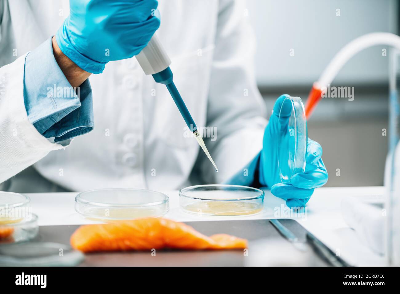 Laboratory glassware fish hi-res stock photography and images - Alamy