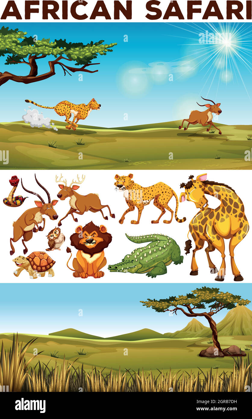 Safari theme with wild animals in the field Stock Vector Image & Art ...