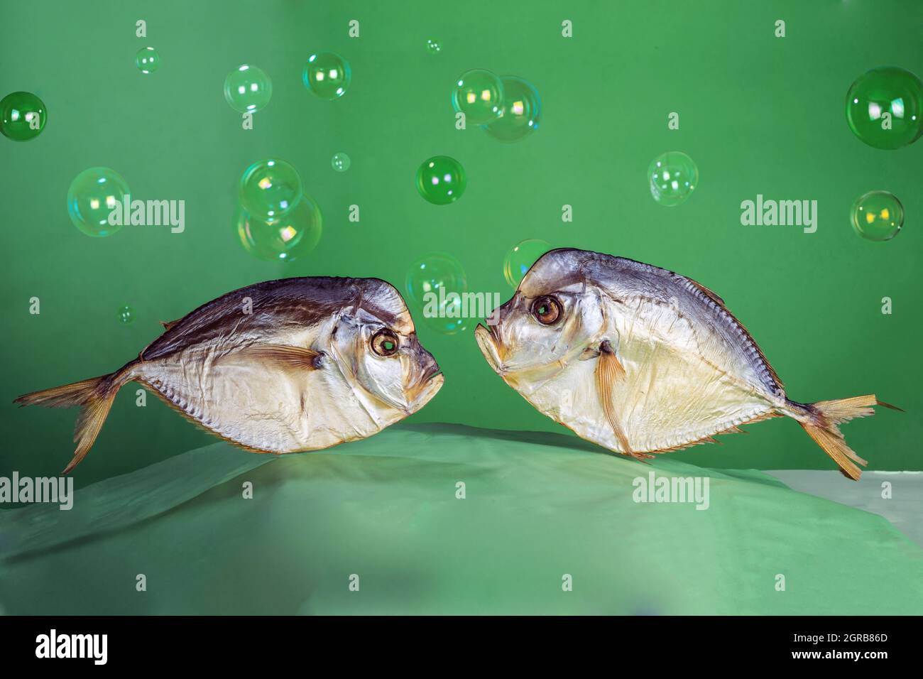 Vomer fish hi-res stock photography and images - Alamy