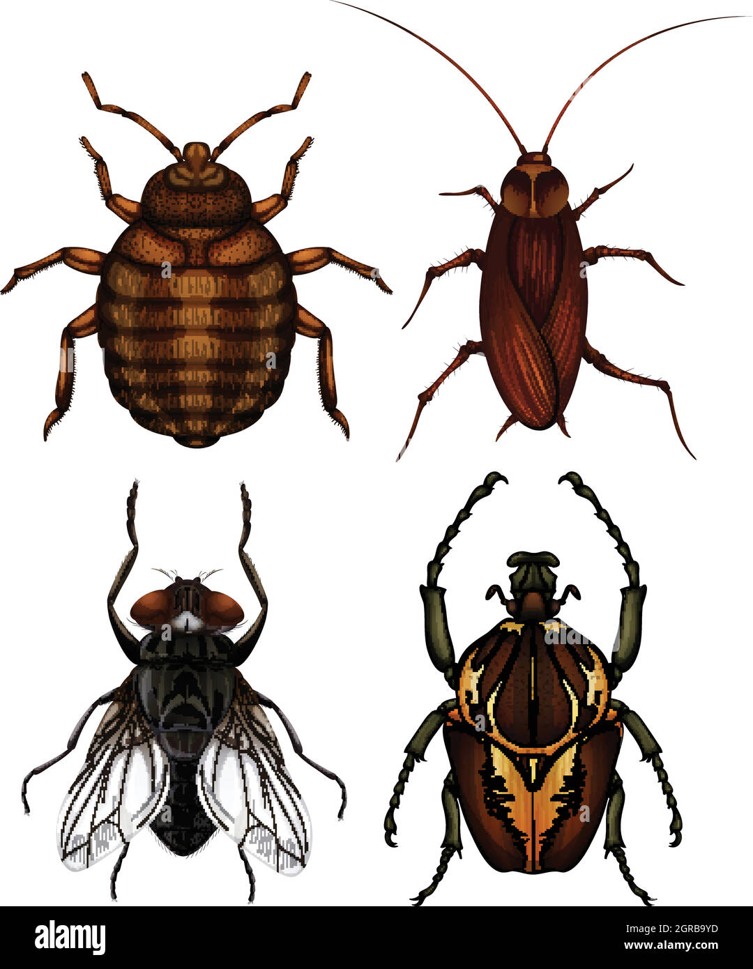 Insect virus Stock Vector Images - Alamy
