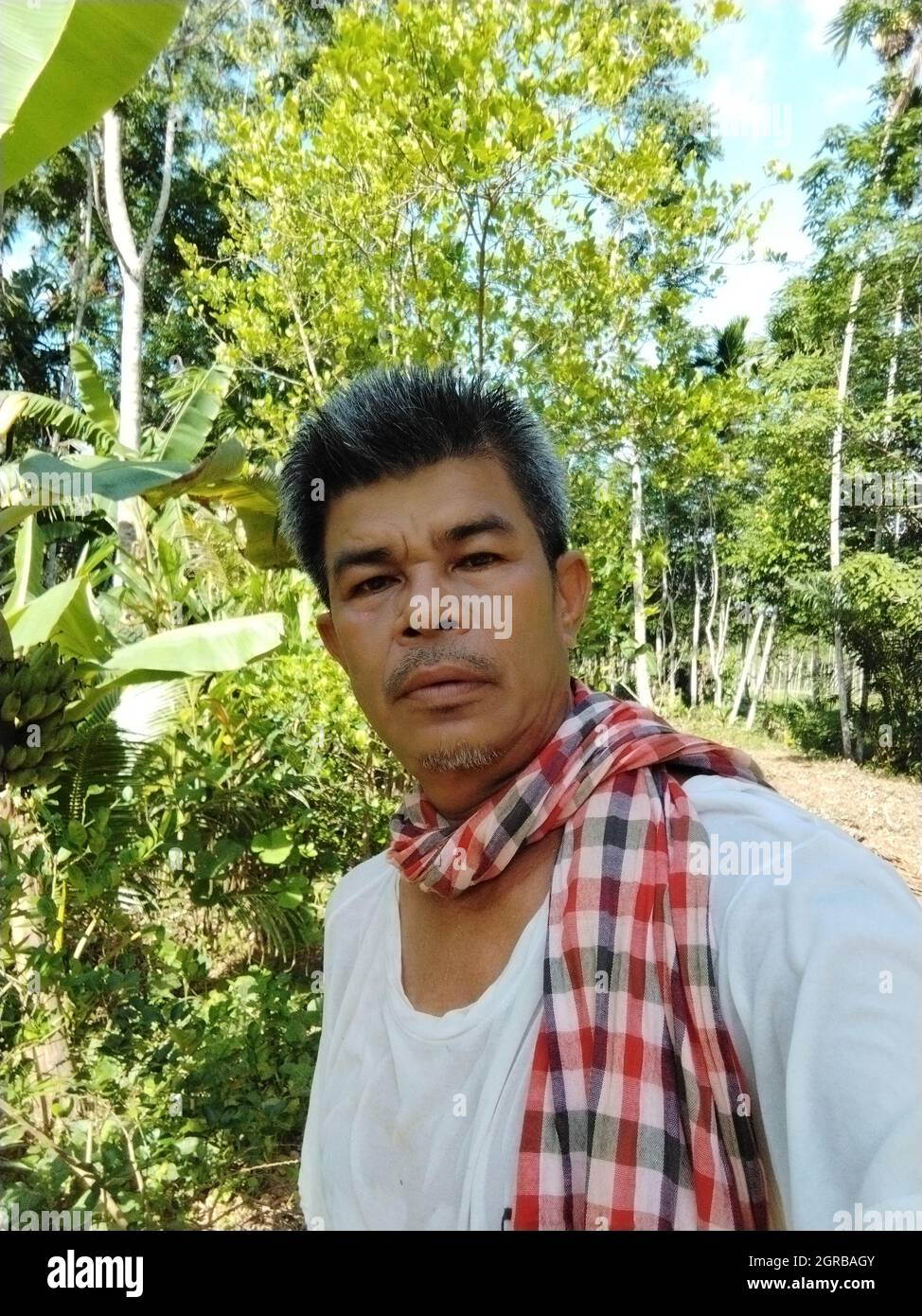 Portrait Of Young Man Standing Against Trees Stock Photo - Alamy