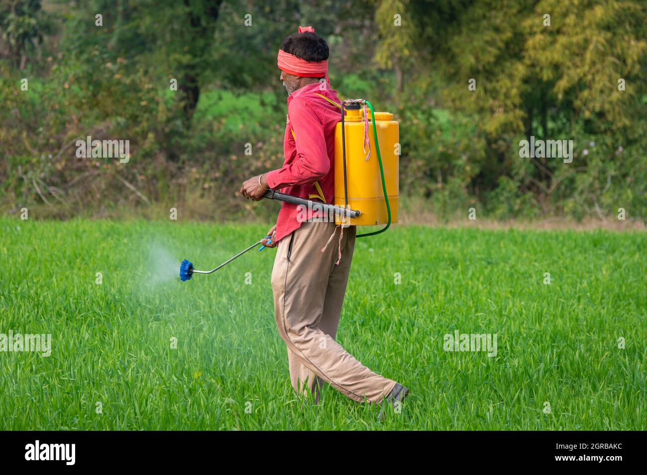 Fertilizer spraying lawn hi-res stock photography and images - Alamy