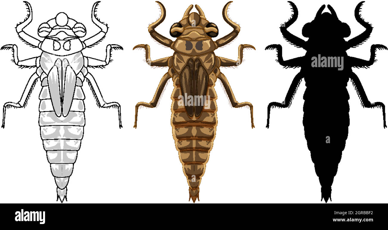 Cartoon illustration beetle in Stock Vector Images - Alamy