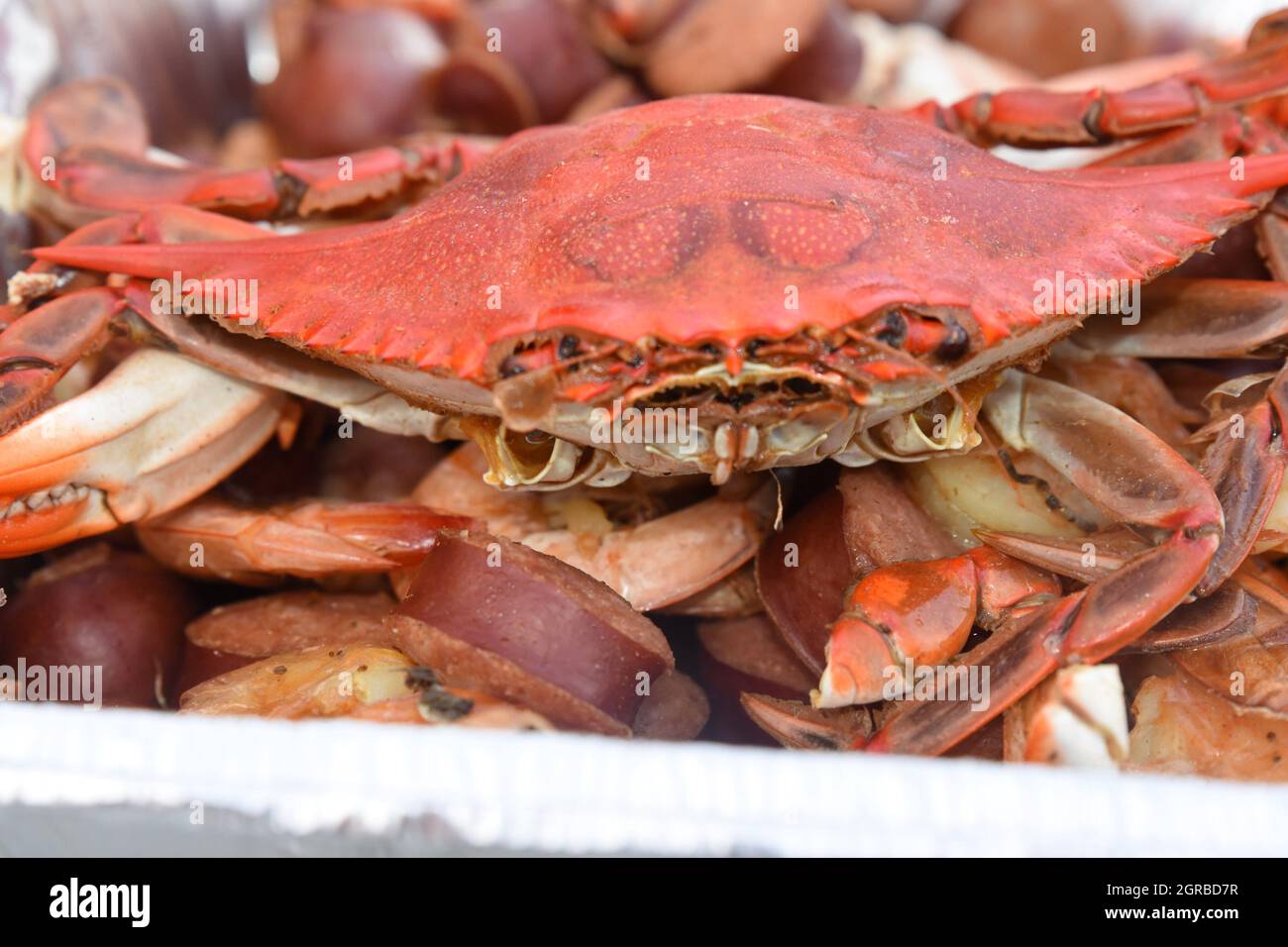 Mr crab hi-res stock photography and images - Alamy