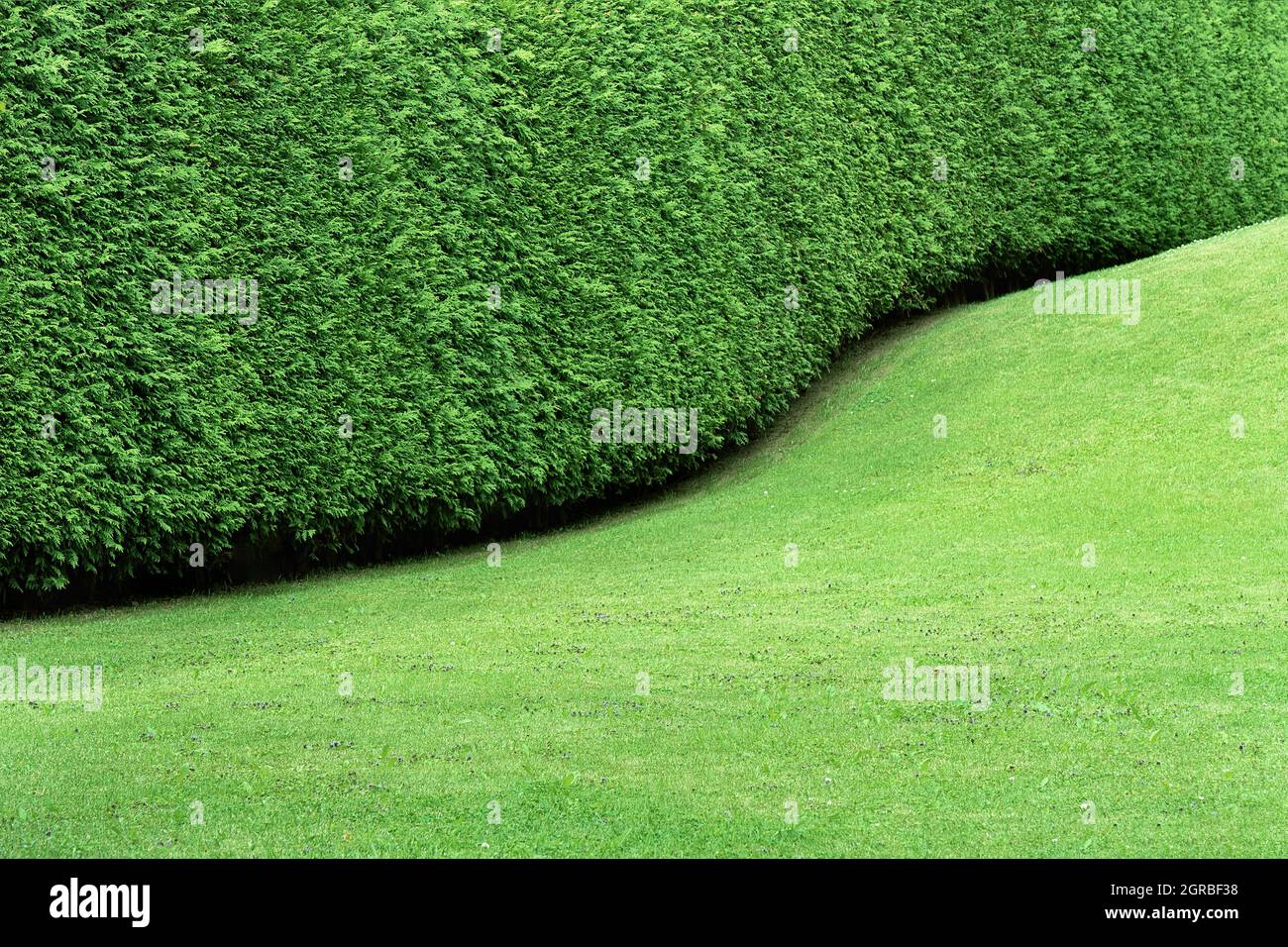 Continuous garden fence hi-res stock photography and images - Alamy