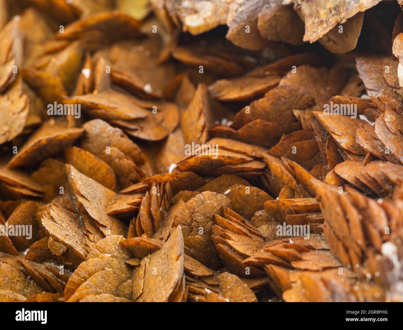 Italian siderite sample hi-res stock photography and images - Alamy