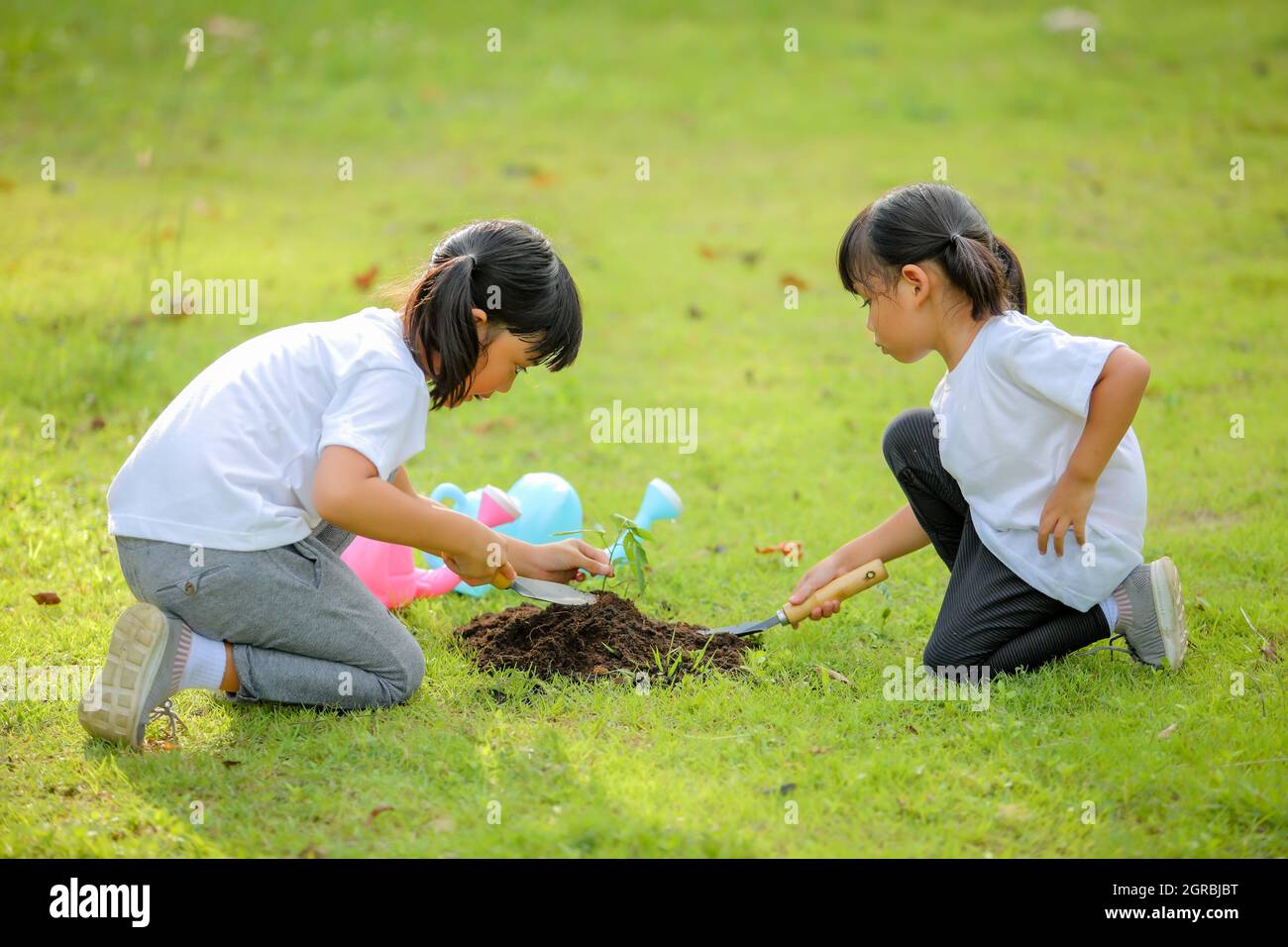 Asian girl planting tree hi-res stock photography and images - Alamy