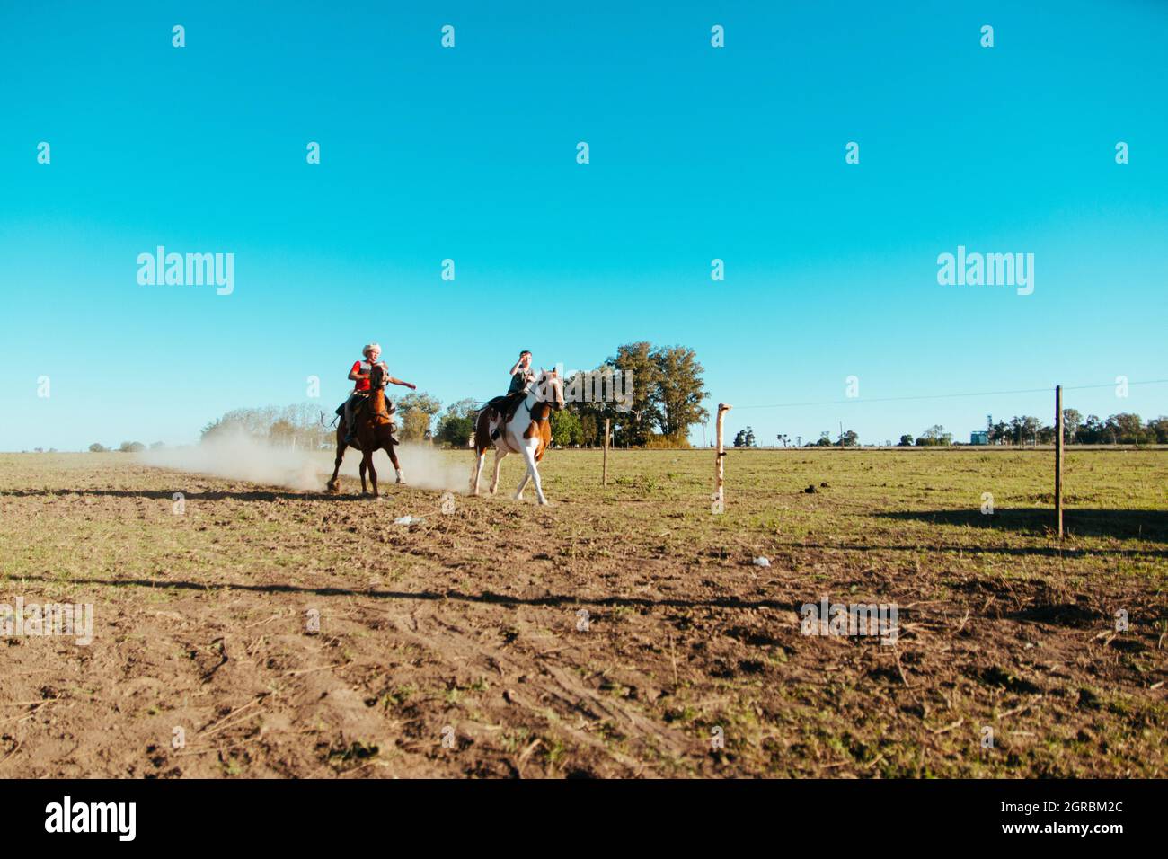 Horse riding group teenage hi-res stock photography and images - Alamy