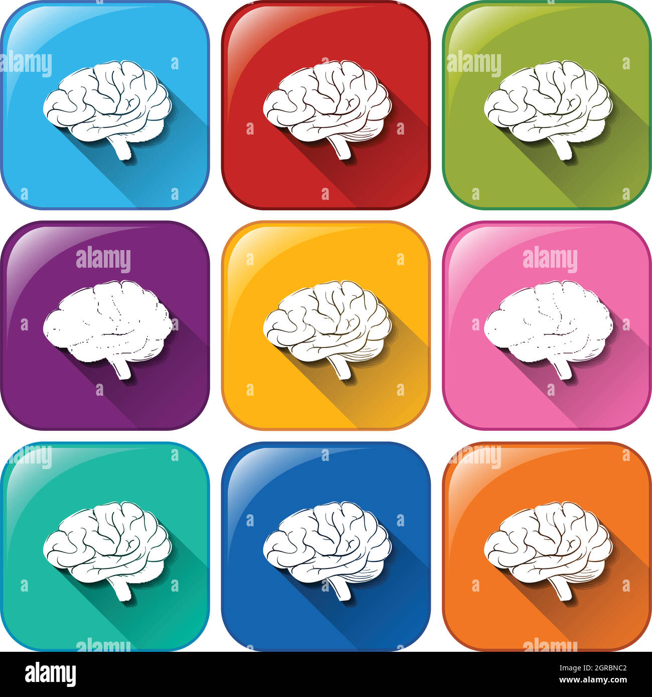 Buttons with brain organ Stock Vector Image & Art - Alamy