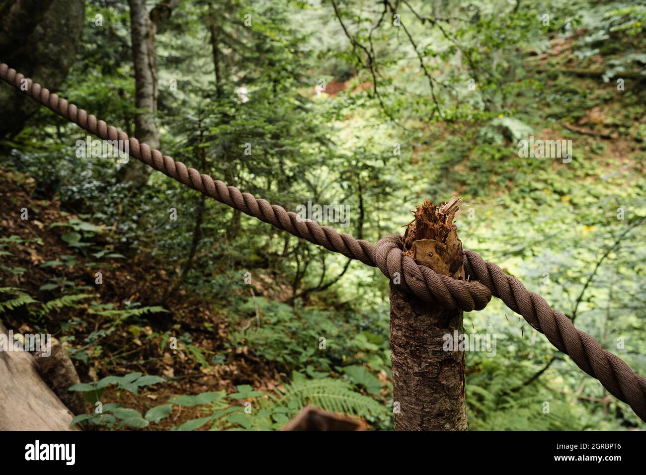 Old rope tied wooden pole hi-res stock photography and images - Alamy