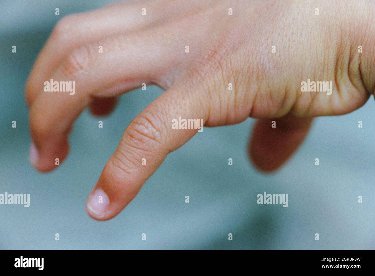 Claw grasping hi-res stock photography and images - Alamy