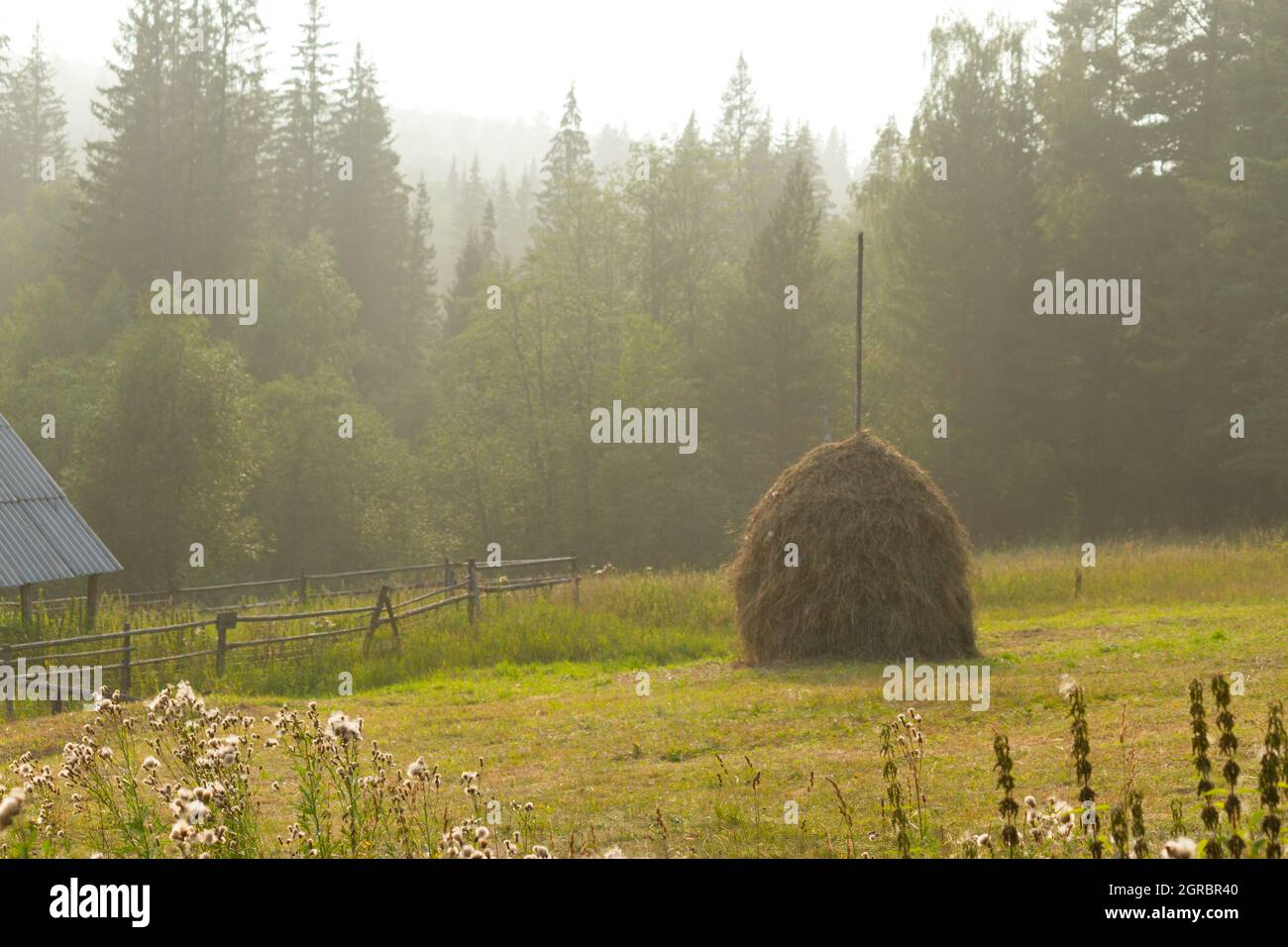Bale of hay on the meadow. Mountains behand Stock Photo - Alamy