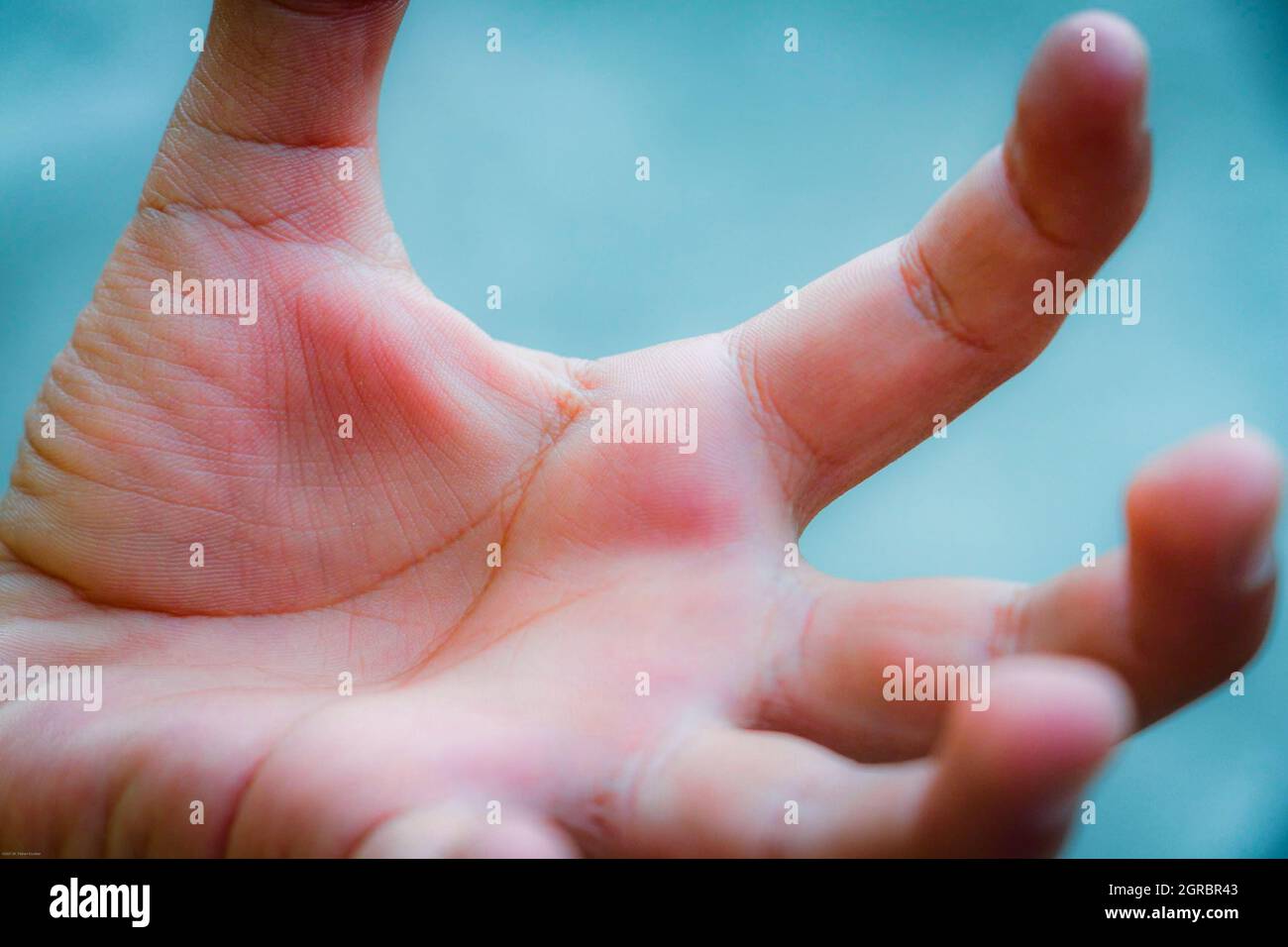 Claw grasping hi-res stock photography and images - Alamy