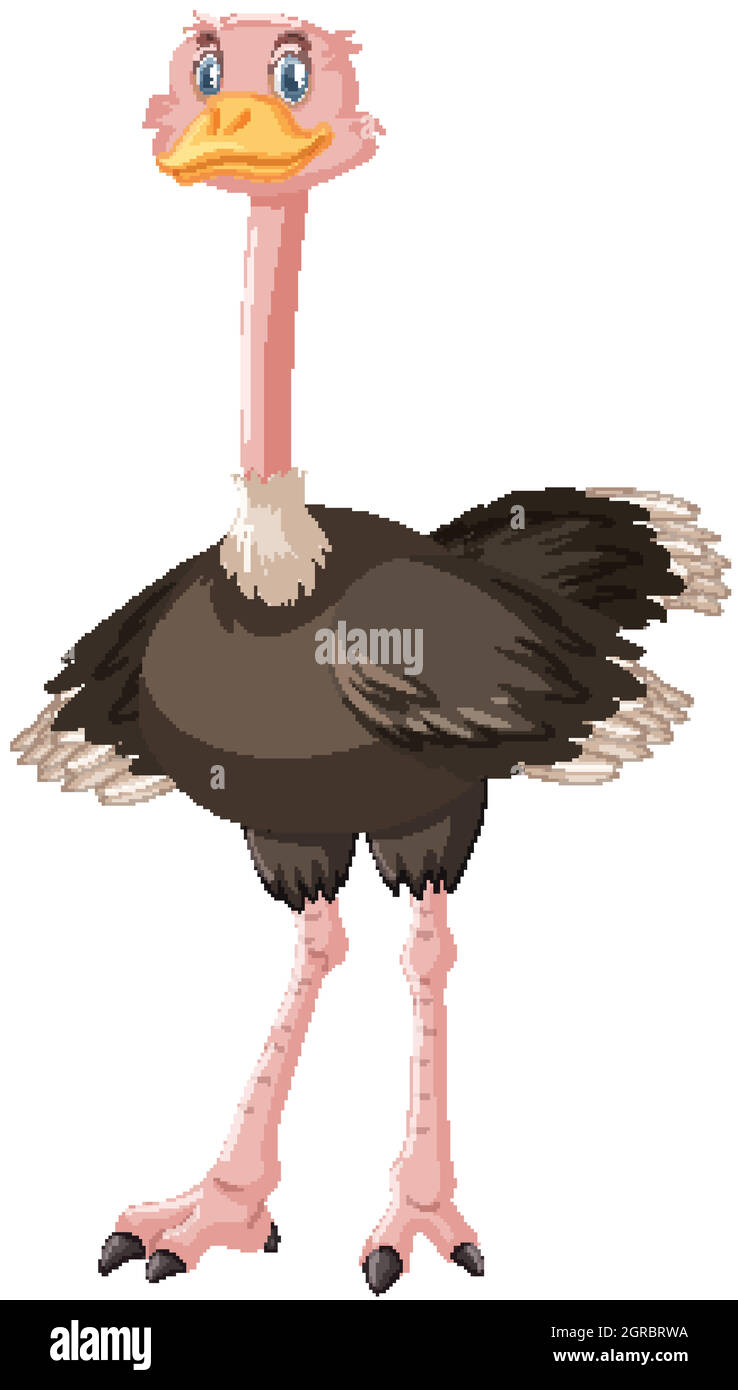 Cute ostrich cartoon character Stock Vector Image & Art - Alamy