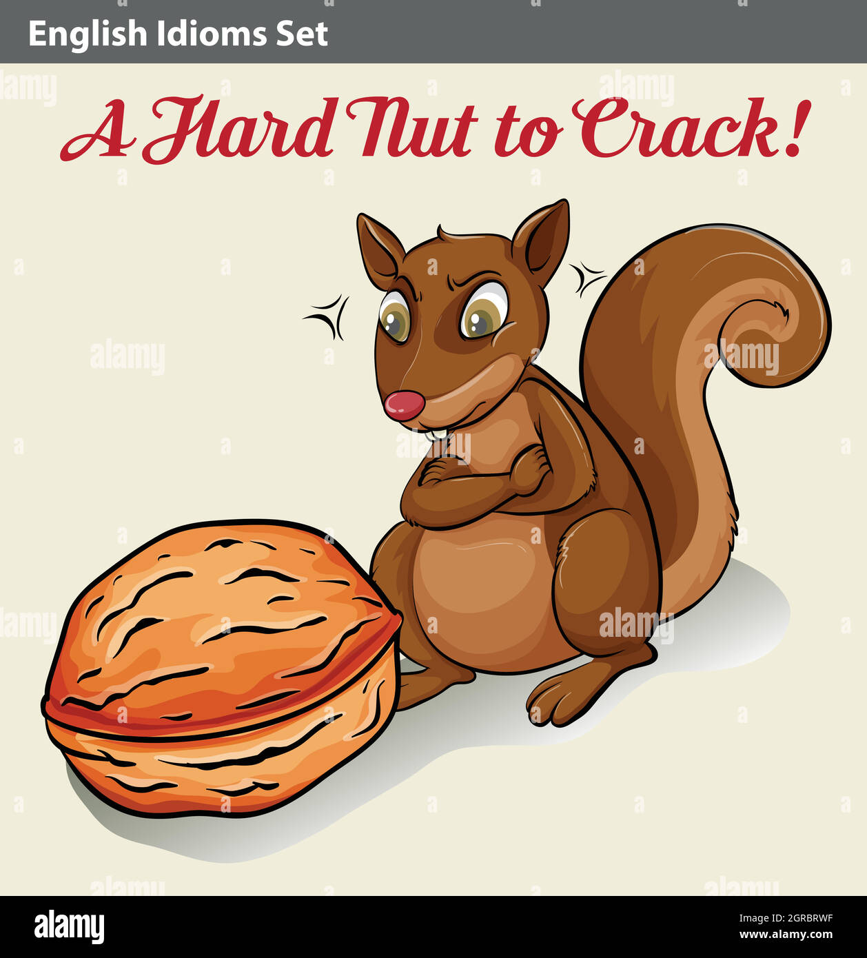 English nut Stock Vector Images - Alamy