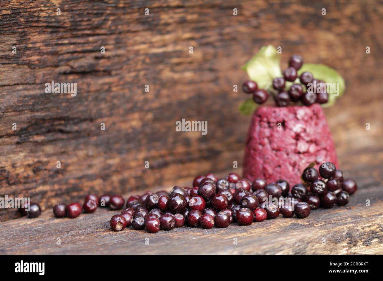 Japanese wine berries hi-res stock photography and images - Alamy