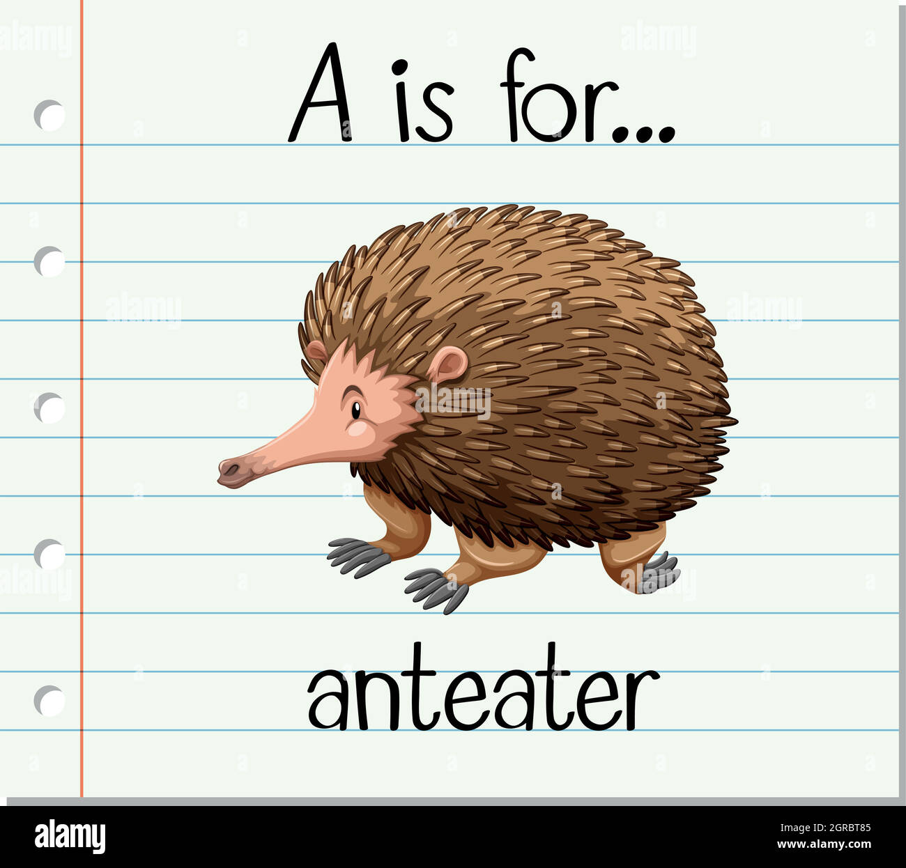 Flashcard letter A is for anteater Stock Vector Image & Art - Alamy