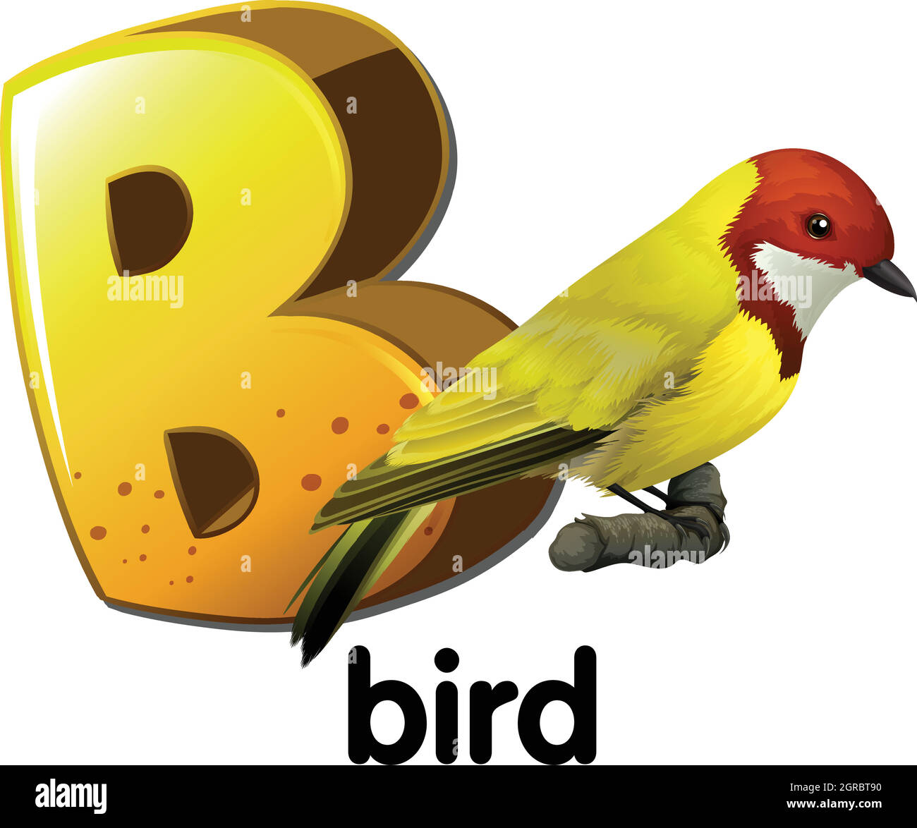 A letter B for bird Stock Vector Image & Art - Alamy