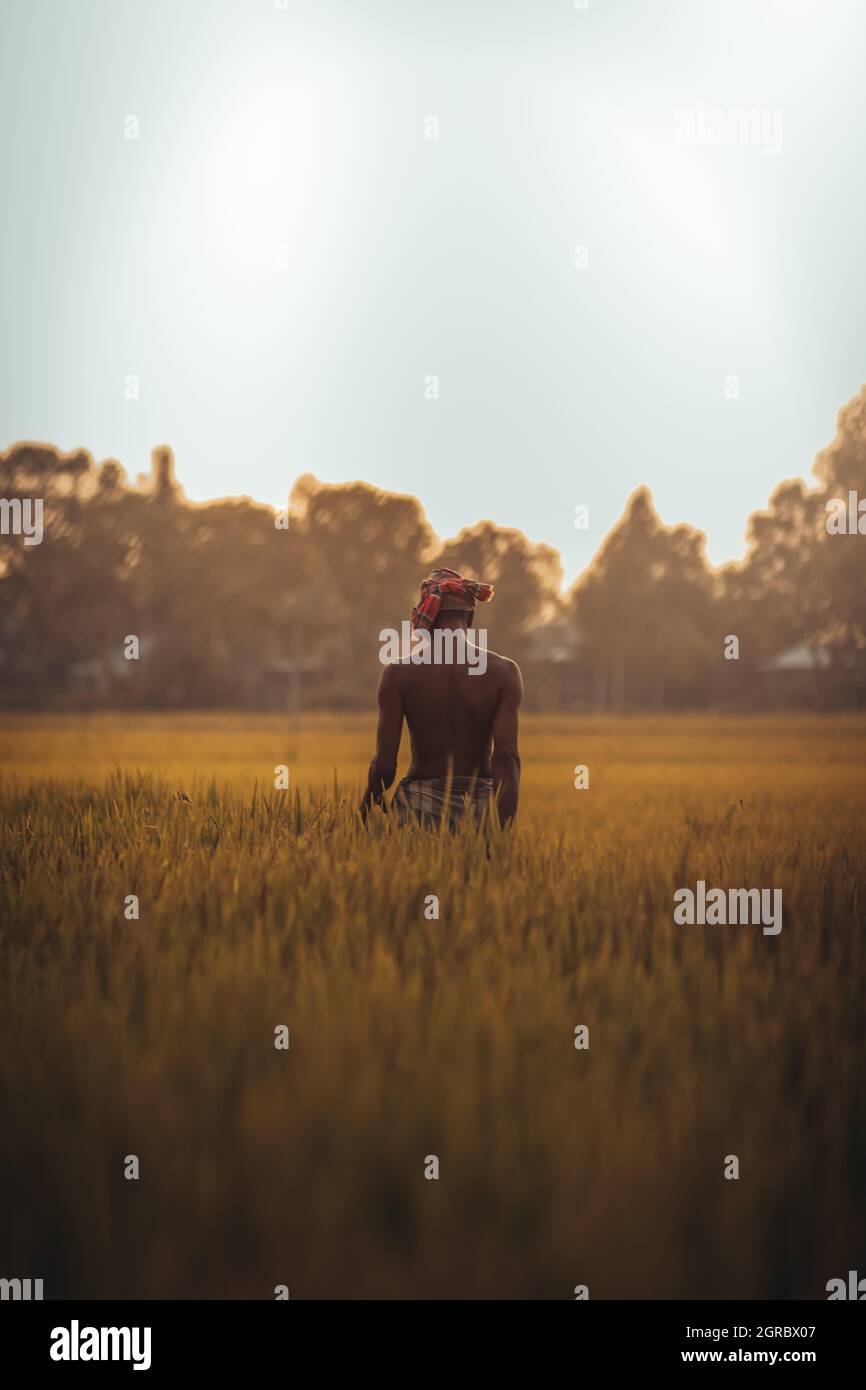 Bangladesh tangail village hi-res stock photography and images - Alamy