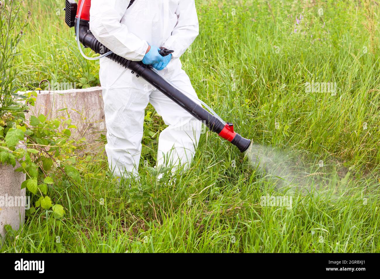 Ragweed control hi-res stock photography and images - Alamy