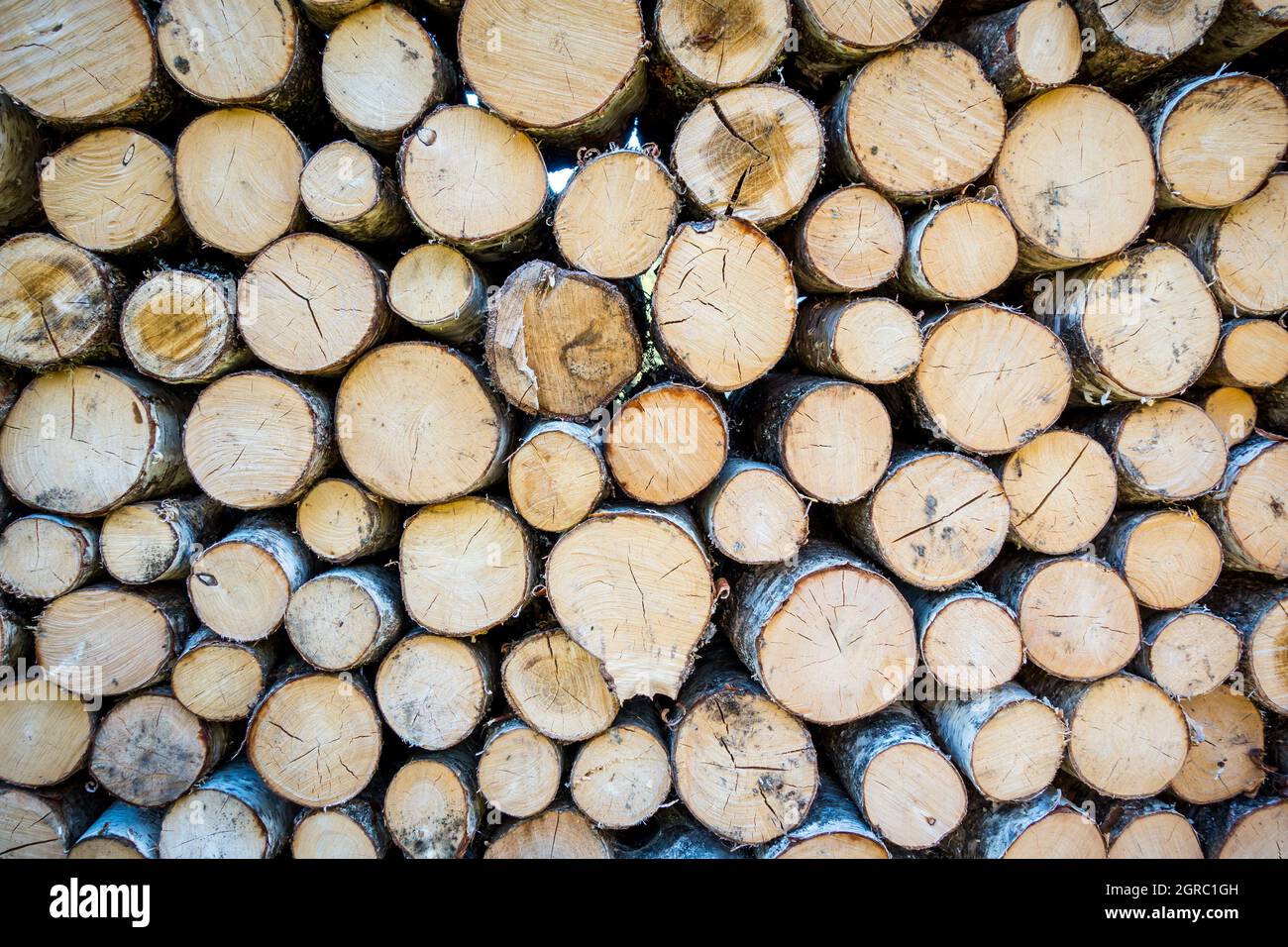 Stack of tree trunks. Texture background wallpaper Stock Photo - Alamy