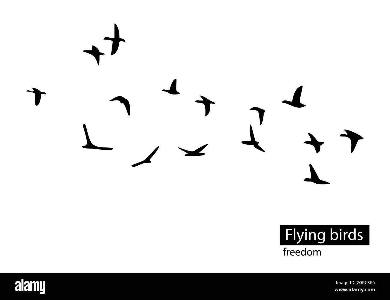 Flock of flying birds isolated on white background. Vector Stock Vector ...