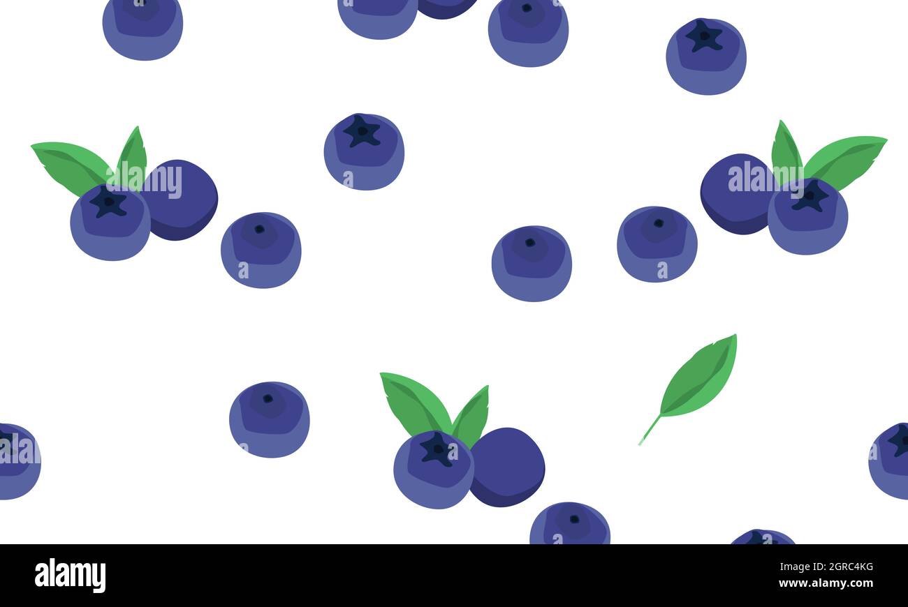 Blueberry vector pattern, backgound. Natural fresh ripe tasty ...