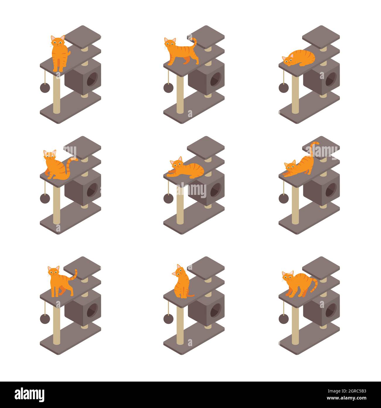 Cute ginger cat playing on tree at home. Isolated on white background ...