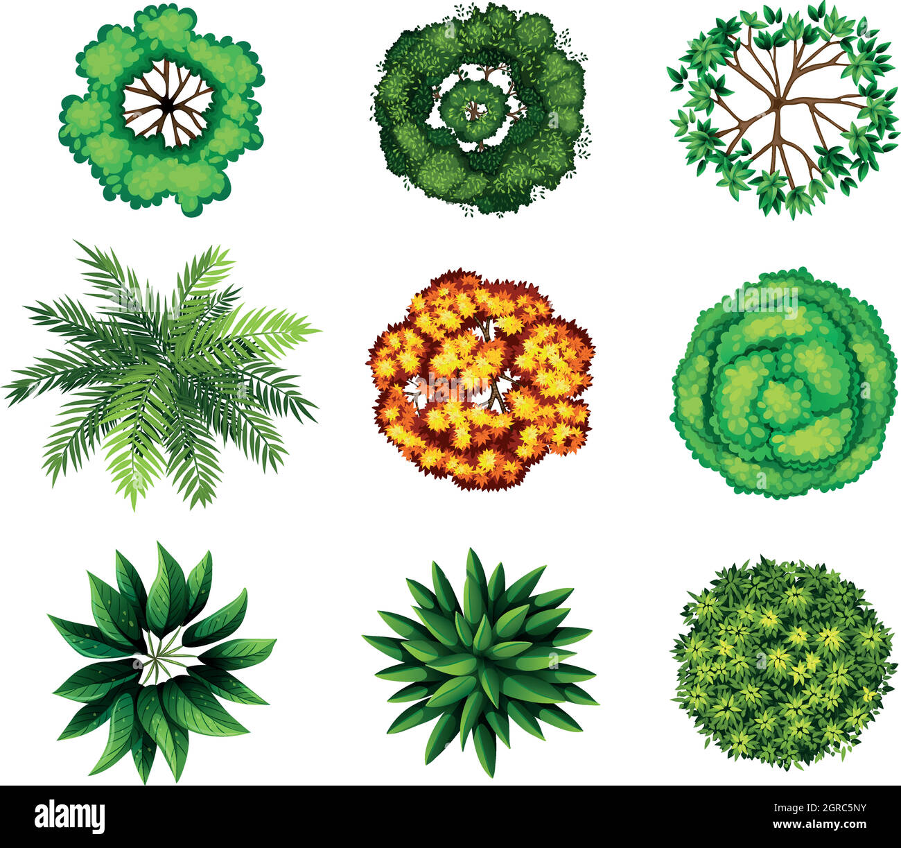 Plants trees background Stock Vector Images - Alamy