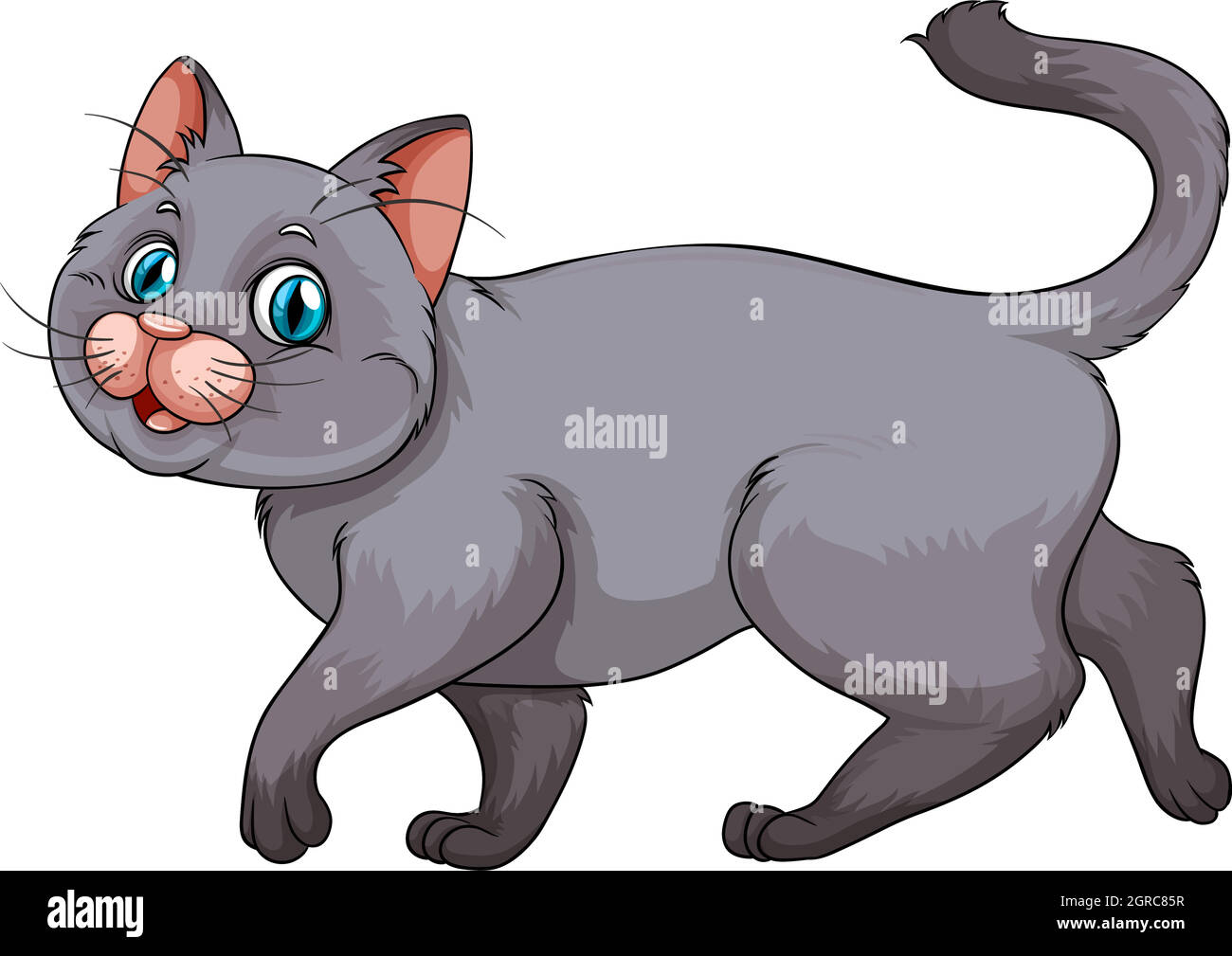 Grey and white kitten Stock Vector Images - Alamy