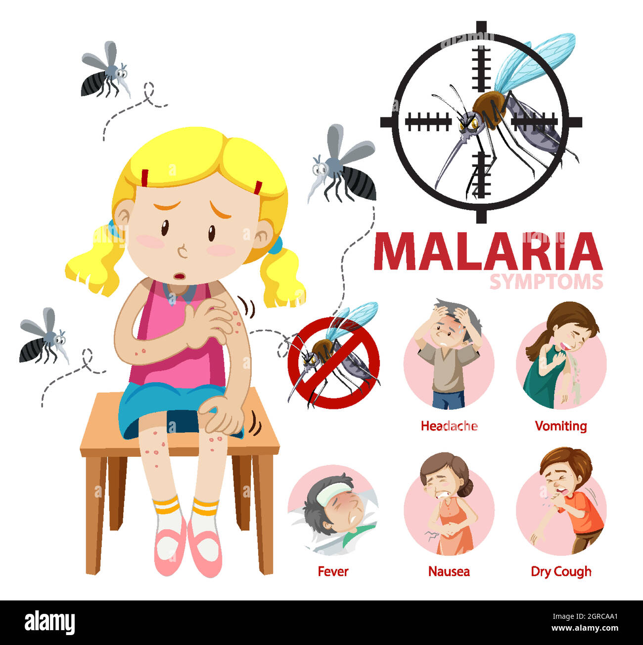 Malaria symptom information infographic Stock Vector Image & Art - Alamy