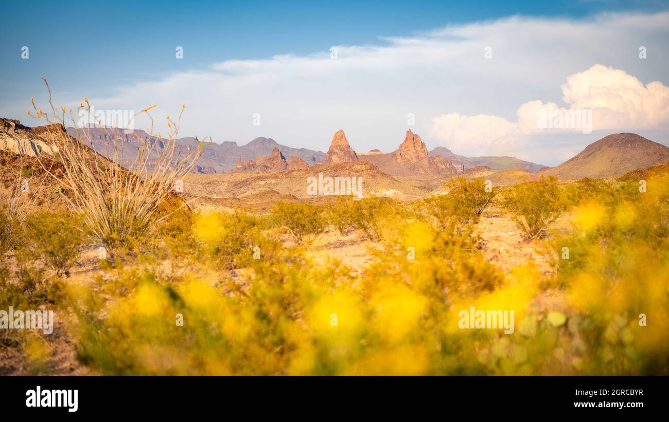 Grassland texas sky hi-res stock photography and images - Alamy