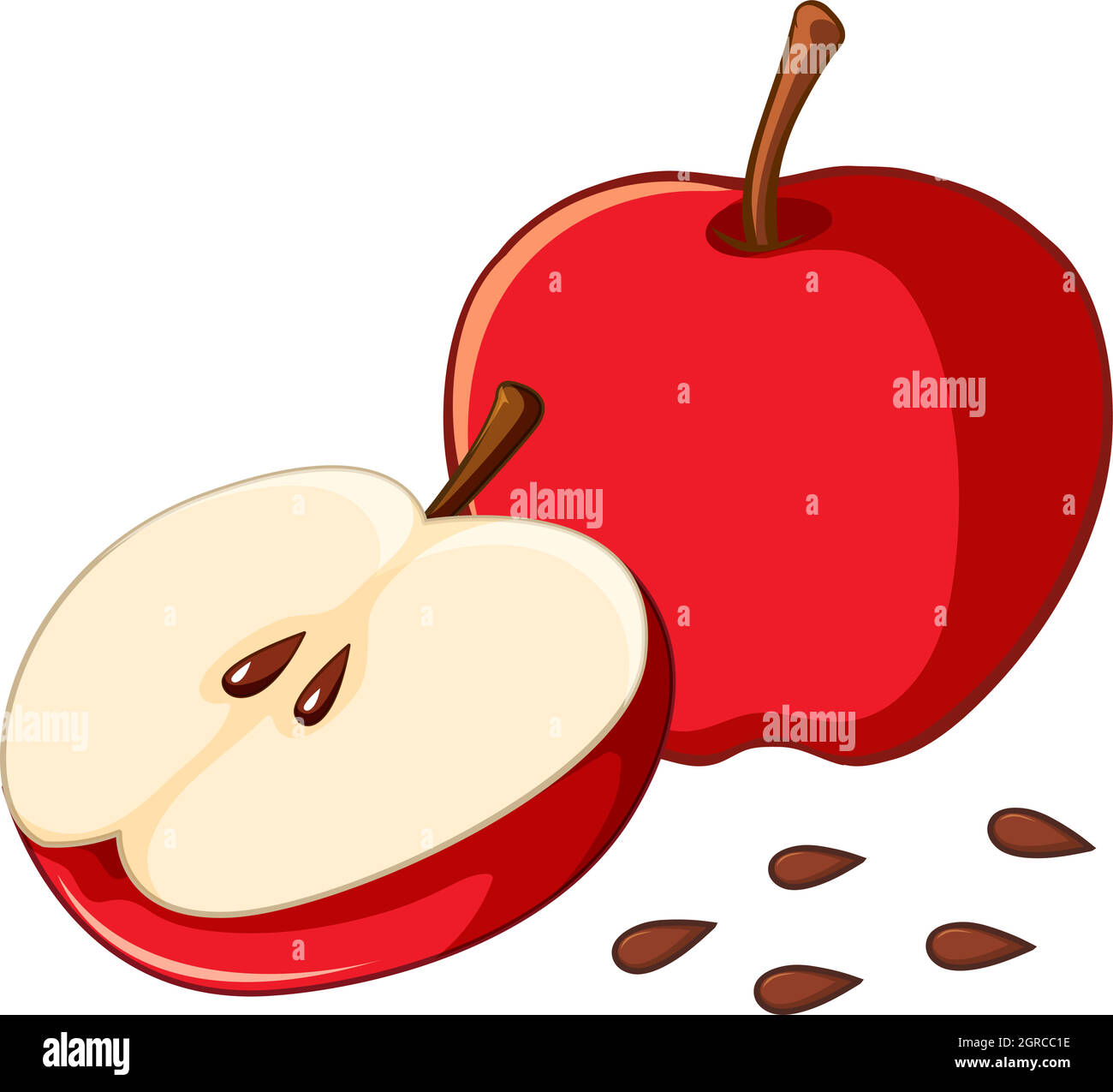 Seeds color image Stock Vector Images - Alamy